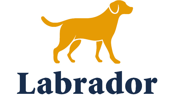 Editora Labrador celebra sete anos com nova identidade visual | PublishNews